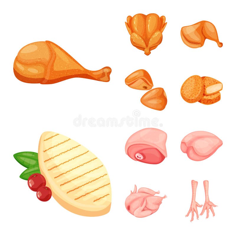 Vector Design of Meat and Raw Icon. Collection of Meat and Grilled ...