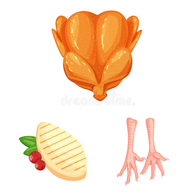 Vector Illustration of Meat and Raw Symbol. Set of Meat and Grilled ...