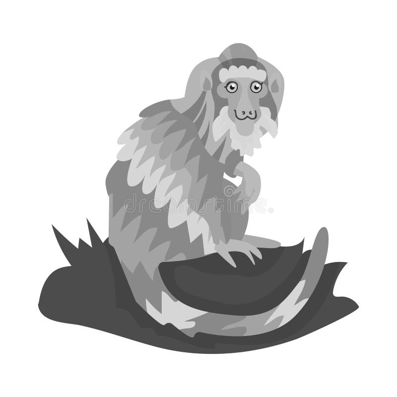 Marmose Stock Illustrations – 8 Marmose Stock Illustrations, Vectors ...