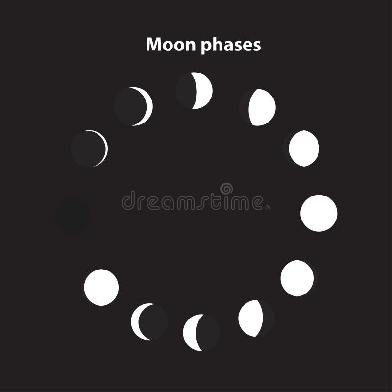 Vector Illustration of Moon Phases Shapes. on a Dark Background. Stock ...