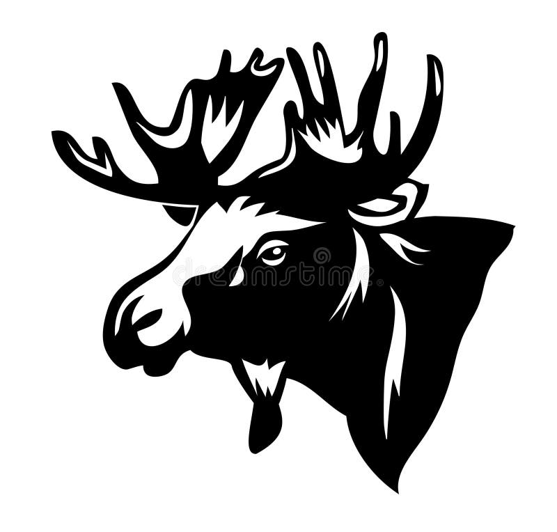 Vector Moose Head stock vector. Illustration of drawn - 323832809