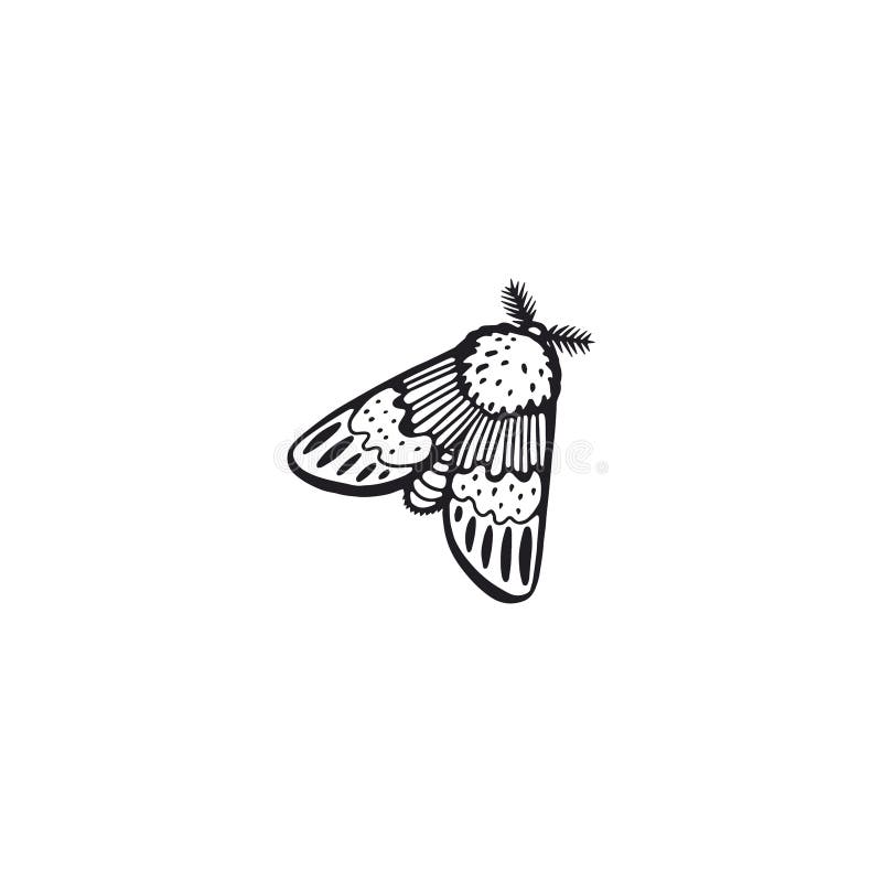 Vector Illustration of a Moth with a Black and White Outline on a White ...
