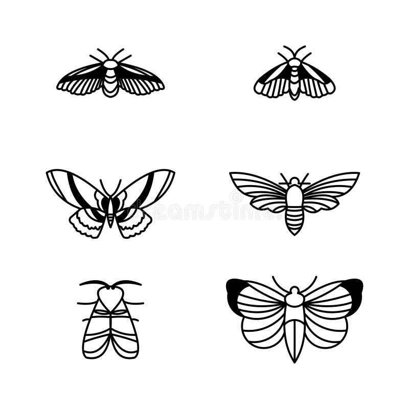 Vector Illustration of Moth and Butterfly Designs in Black and White ...