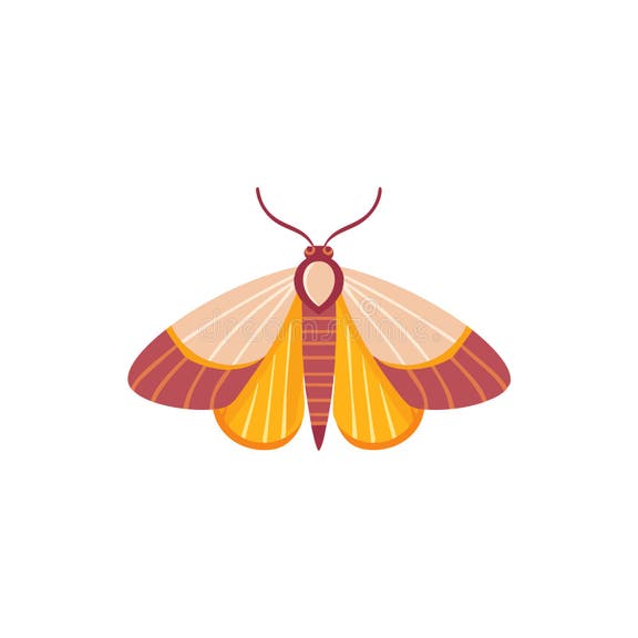 Vector Illustration of Moth, Cute Insect Character for Decor Stock ...