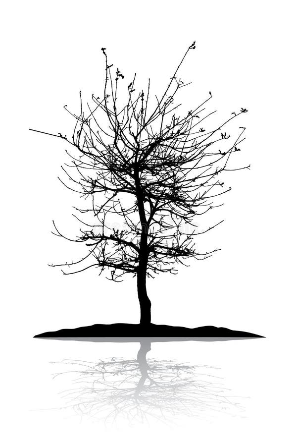 Vector Illustration of Natural Tree. Tree Silhouette with Drop Shadow ...