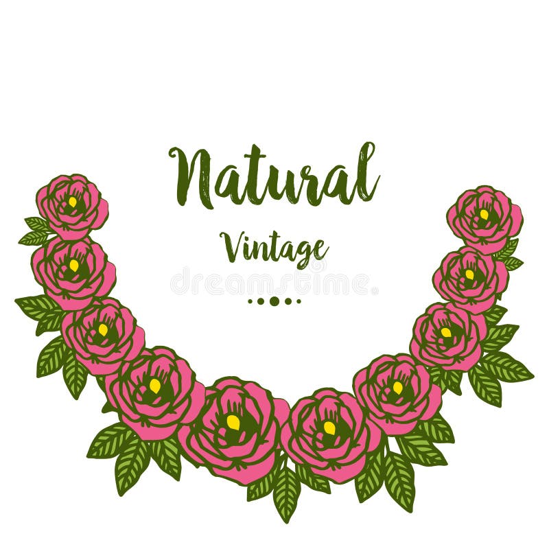 Vector Illustration Natural Vintage with Rose Flower Frame Stock Vector ...