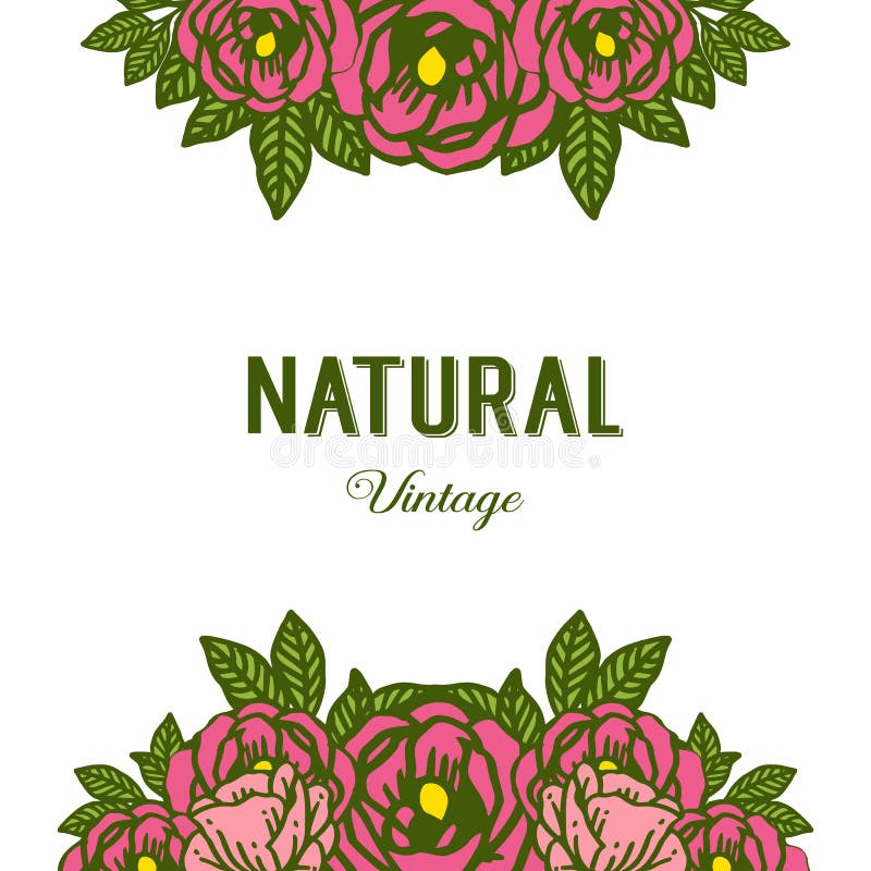 Vector Illustration Natural Vintage with Rose Flower Frame Stock Vector ...
