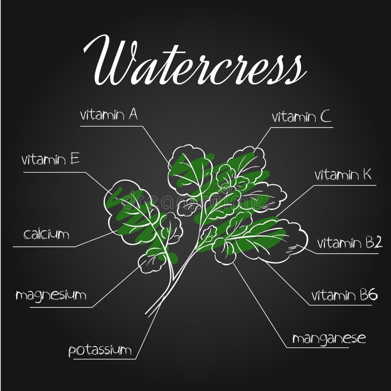 Madonna! 40+ Fatti su Plant Nutrients Icon: Role of nutrients mineral ... Madonna! 40+ Fatti su Plant Nutrients Icon: Role of nutrients mineral ...