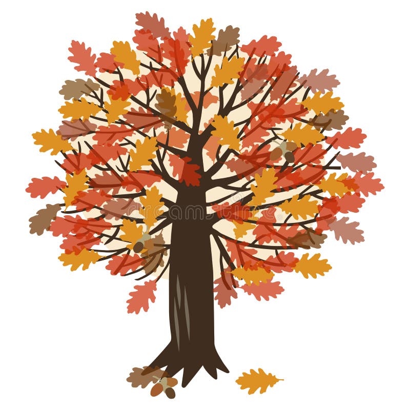 Vector Illustration with Oak Tree Stock Vector - Illustration of brown ...