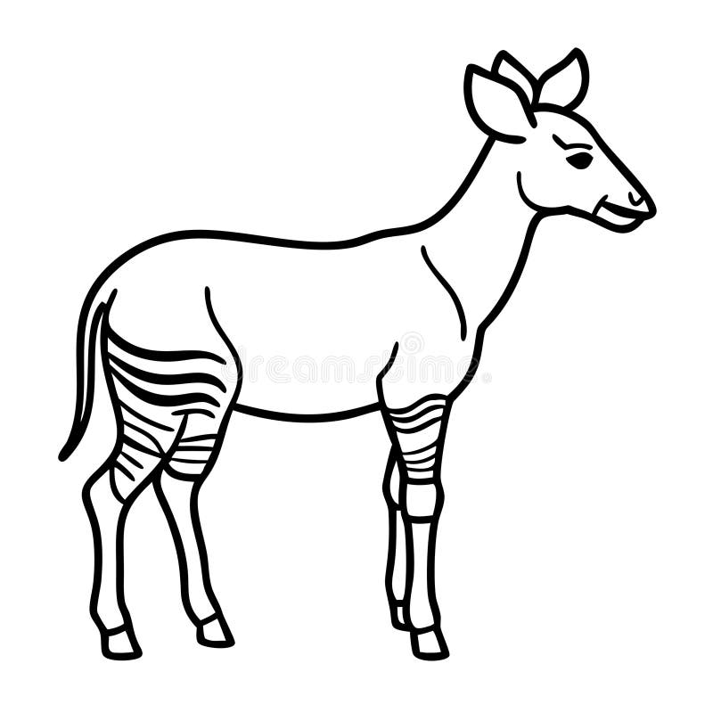 Vector Illustration of Okapi Outline in Simple Artistic Style Stock ...