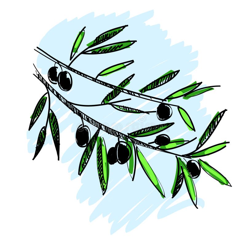 Vector Illustration of Olive Branch Stock Vector - Illustration of ...