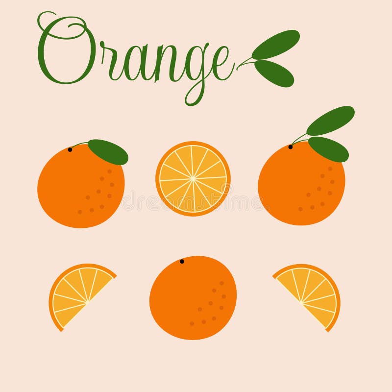 Vector Illustration. Orange Collection in a Flat Style. Stock Vector ...