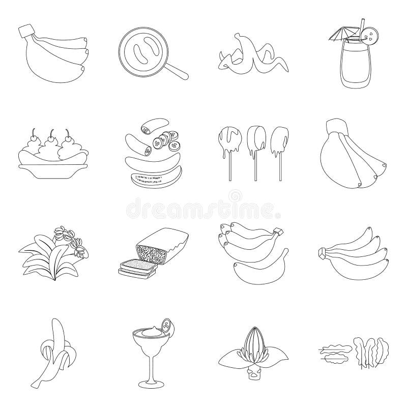 Vector Illustration of Organic and Potassium Icon. Collection of ...