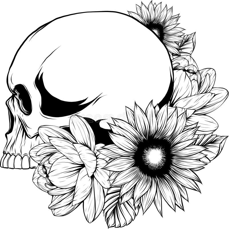 Vector Illustration of Outline Human Skull Design Stock Vector ...