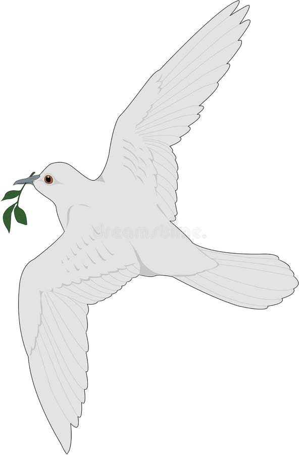 Peace Dove Flying with Olive Branch Illustration Stock Vector ... Peace Dove Flying with Olive Branch Illustration Stock Vector ...