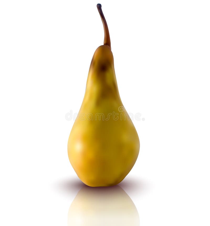 Vector Illustration of Pear Stock Vector - Illustration of organic ...