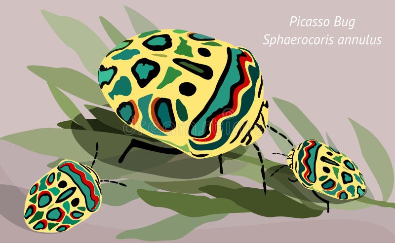 Picasso Bugs Stock Illustrations – 5 Picasso Bugs Stock Illustrations ...