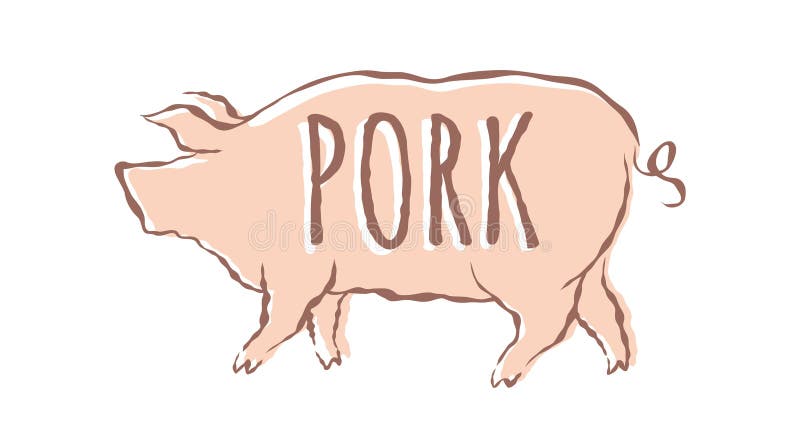 Vector Illustration of Pig in Hand Drawing Style. Vector Icon for Food ...
