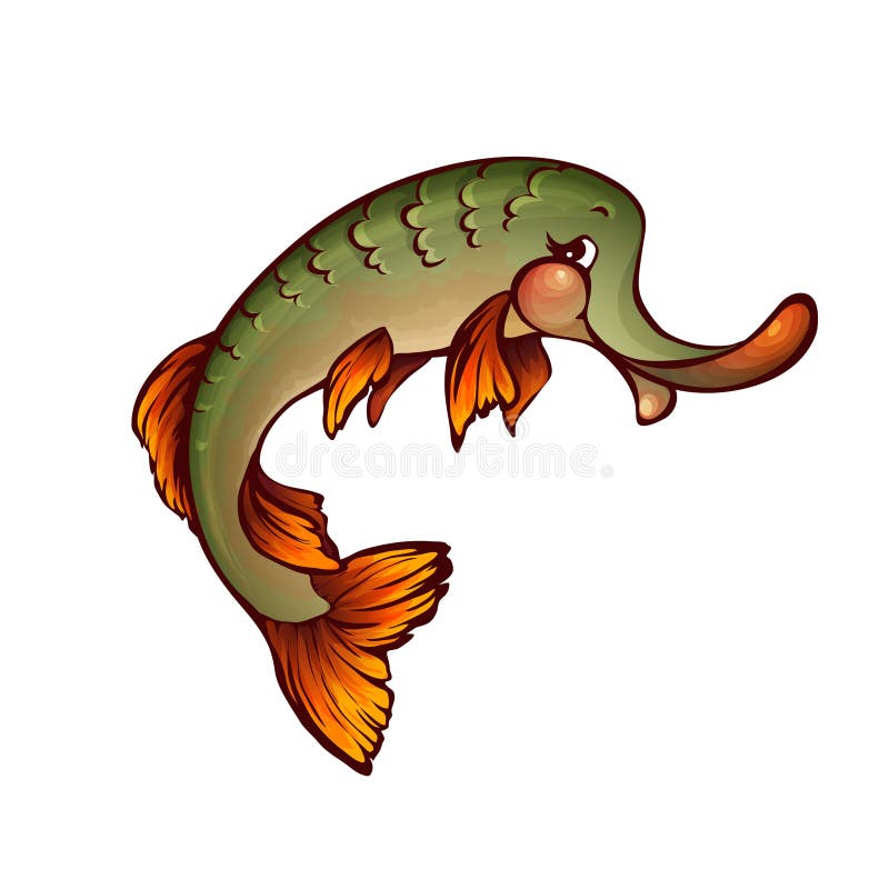 Freshwater Pike Stock Illustrations – 1,853 Freshwater Pike Stock ...