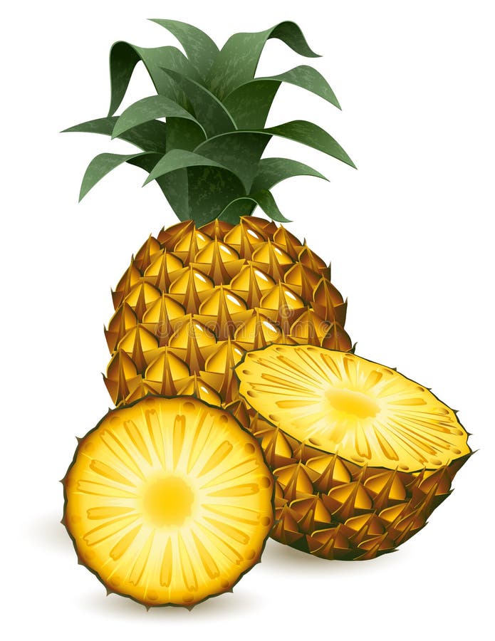Pineapple stock vector. Illustration of exotic, eating - 118719032