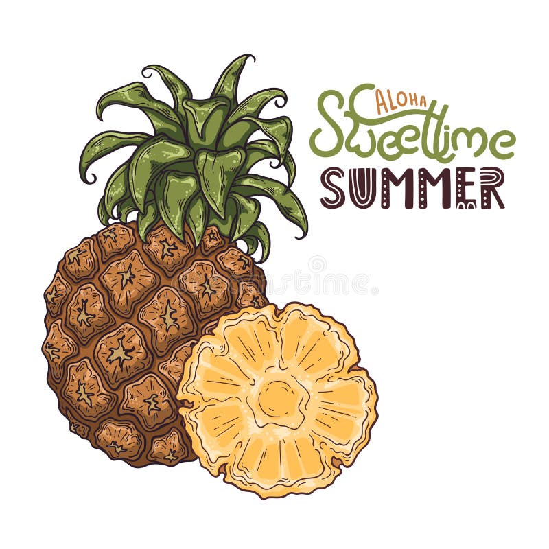 Vector Illustration of Pineapple. Lettering: Aloha Sweet Time Summer ...