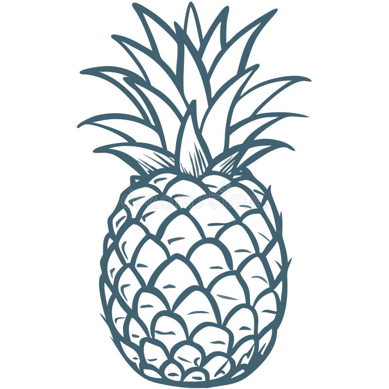 Vector Illustration of Pineapple Outline Design for Decorative and Culinary Use Stock Photo ...