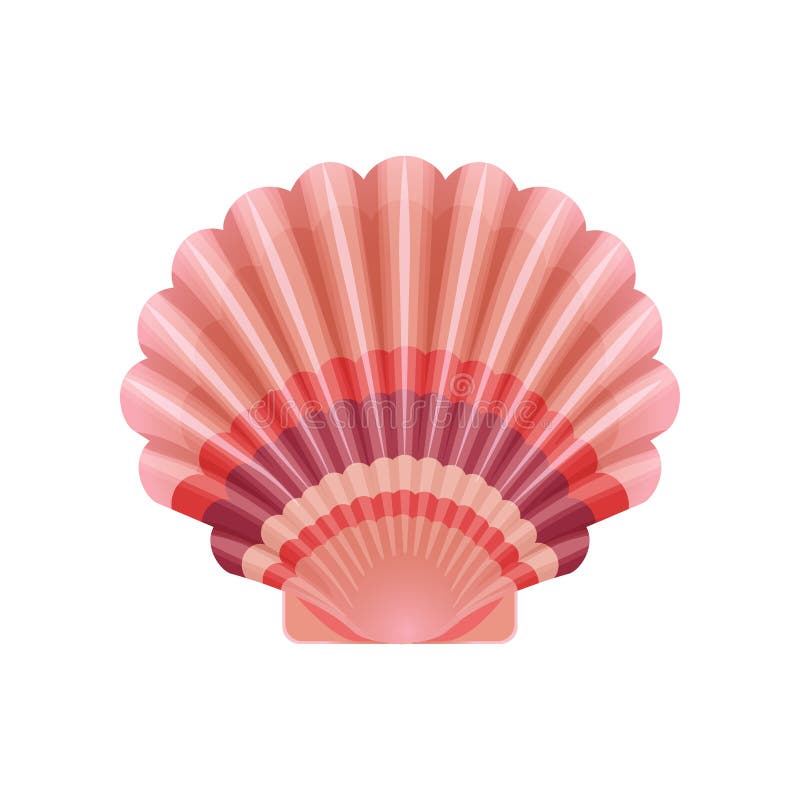 Vector Illustration of a Pink Fan-Shaped Seashell Stock Illustration ...