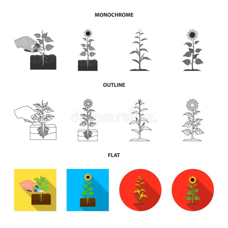 Vector Design of Plant and Bean Logo. Collection of Plant and Process ...