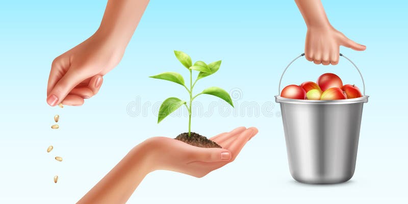 Cultivation Of Plant Stock Vector Illustration Of Background 108847574