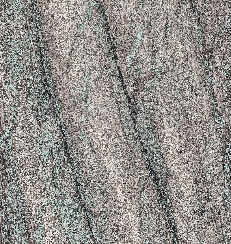 Vector Illustration of Plum Tree Bark Background - Latin Name - Prunus ...