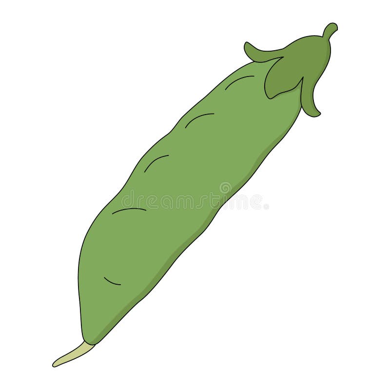 Vector Illustration of Pod Peas Isolated on White Background. Cartoon ...