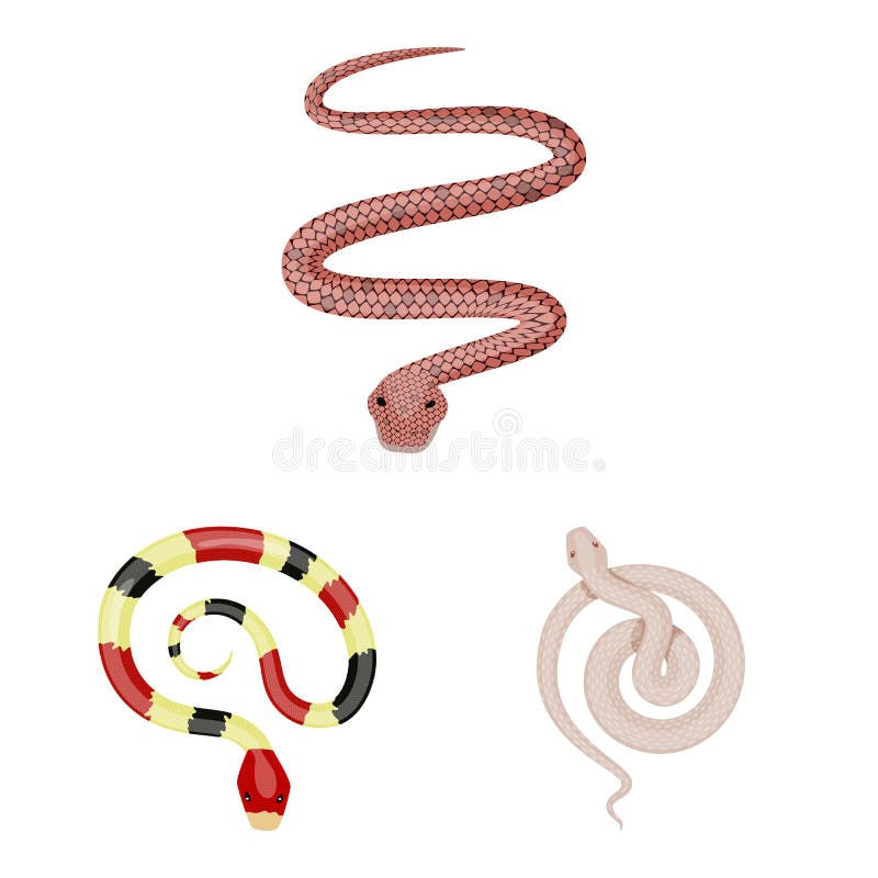 Vector Illustration of Poison and Evil Symbol. Collection of Poison and ...