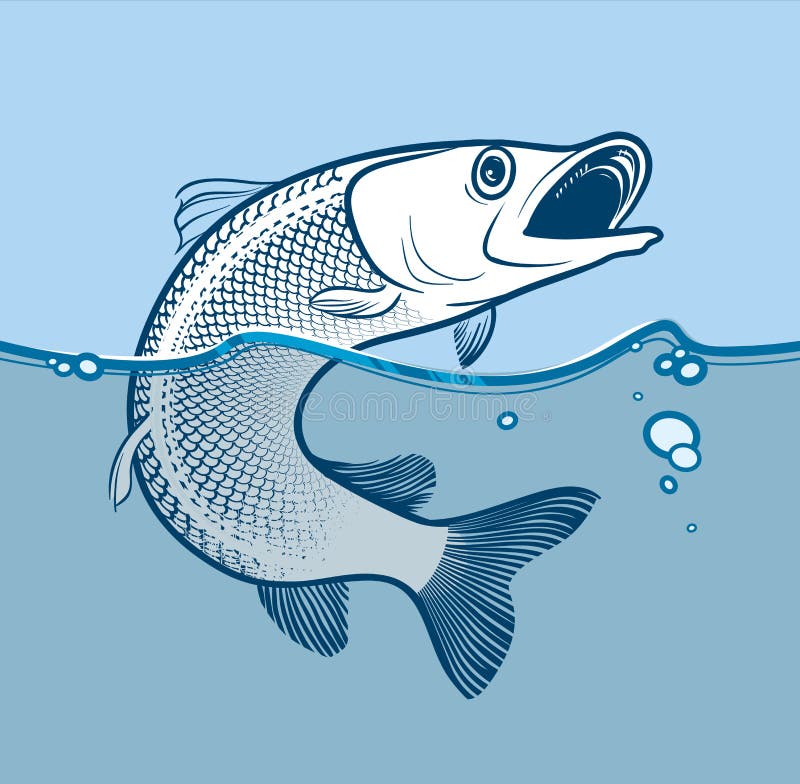 Vector Illustration of Predator Fish that is Jumping from the Water ...