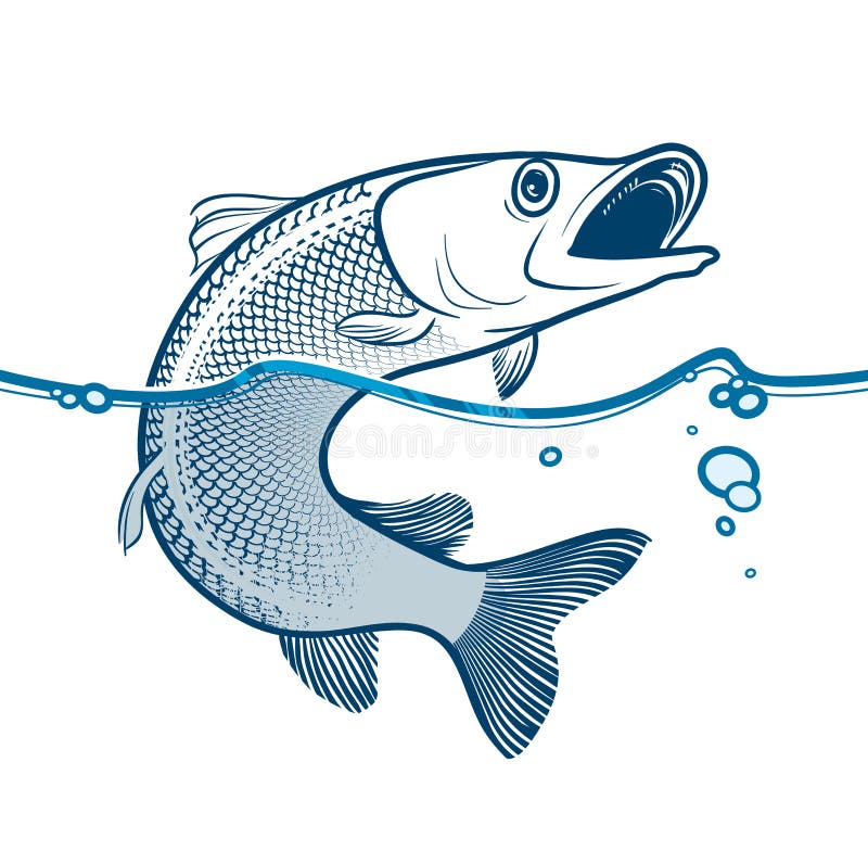 Vector Illustration of Predator Fish that is Jumping from the Water ...
