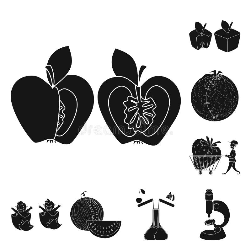 Vector Illustration of Quality and Laboratory Symbol. Set of Quality ...