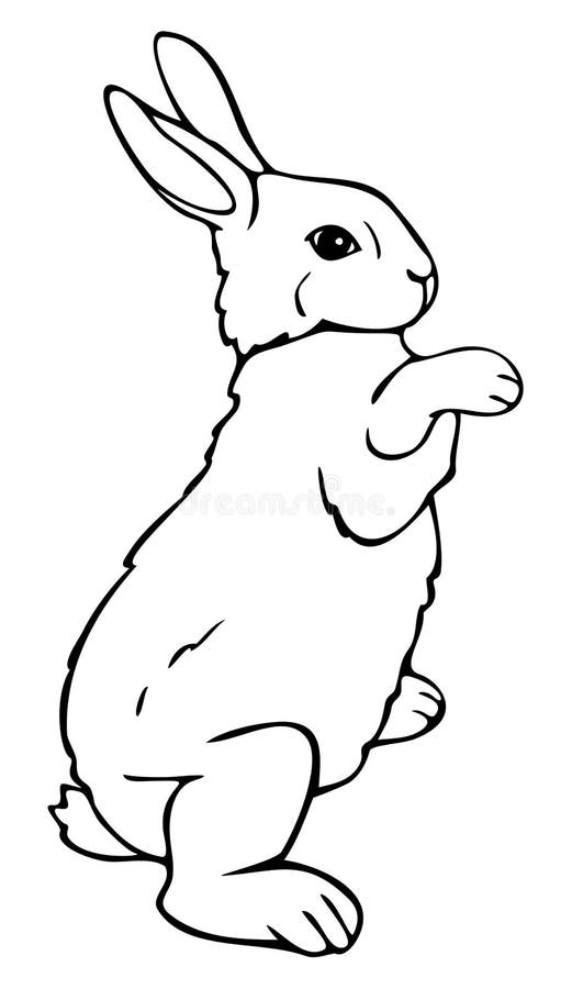 Standing Rabbit Outline
