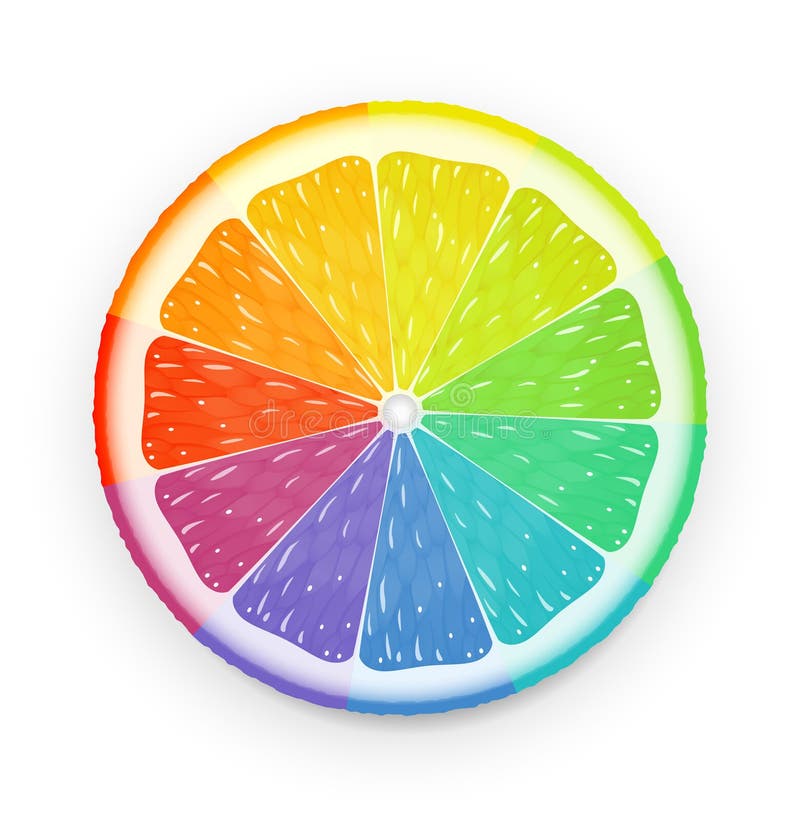 Rainbow citrus fruit slice stock vector. Illustration of vector - 199663108