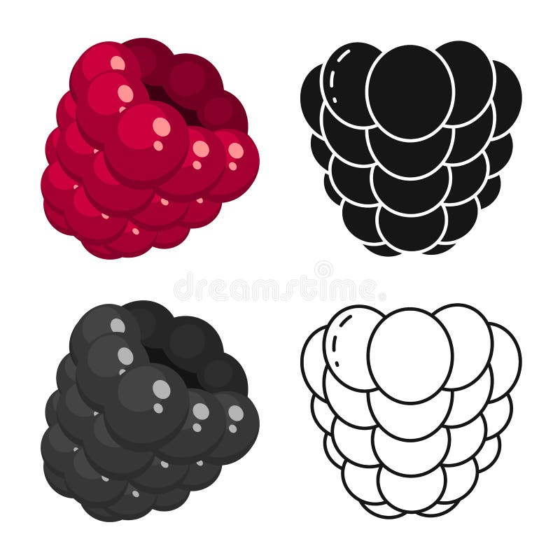 Vector Design of Raspberry and Fruit Sign. Collection of Raspberry and ...