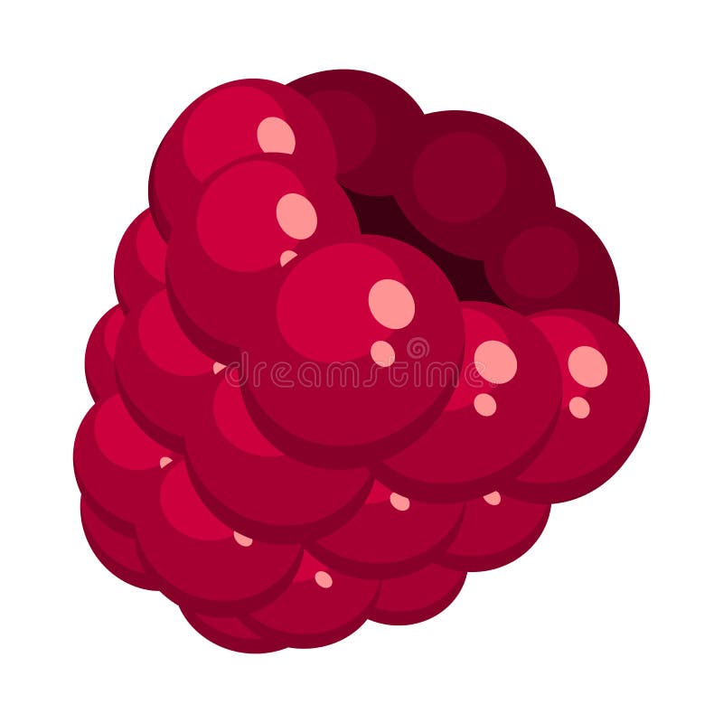 Vector Design of Raspberry and Fruit Icon. Collection of Raspberry and ...