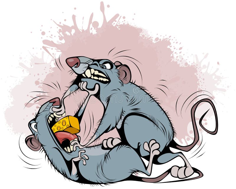 Rats fighting over prey stock vector. Illustration of white - 132118824