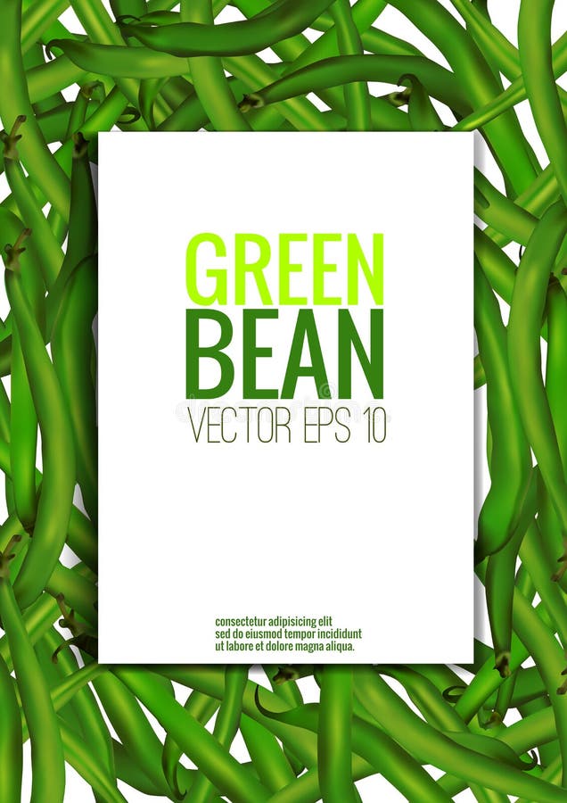 Vector Illustration, Realistic Green Beans with Frame and Place Stock ...