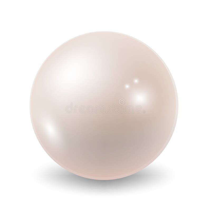 Pearl Isolated on White Back Stock Photo - Illustration of jewelry ...