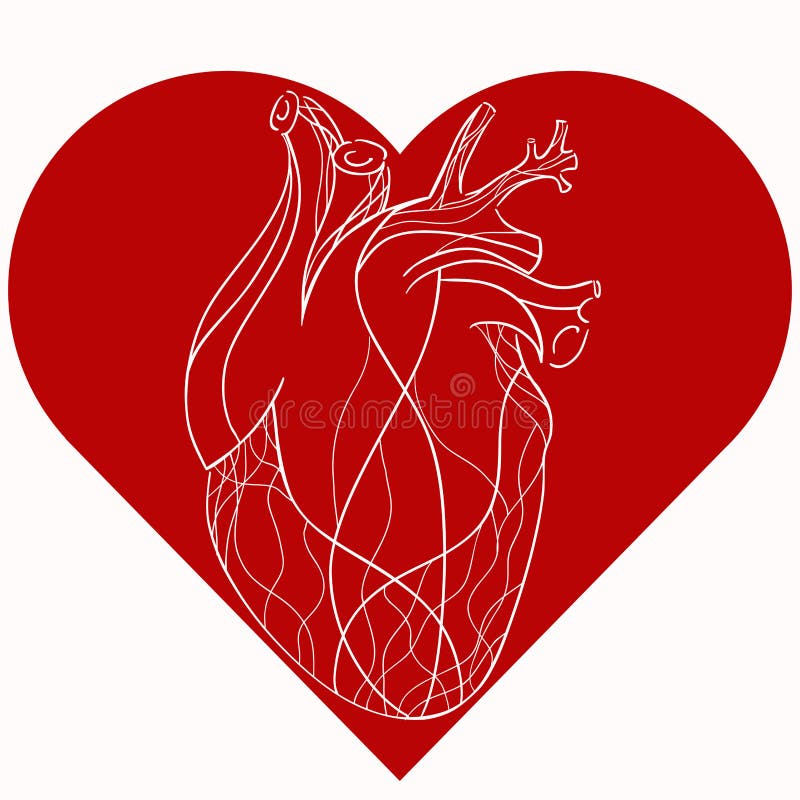 Vector Illustration of Realistic Stylized Heart in Red Heart. Stock ...