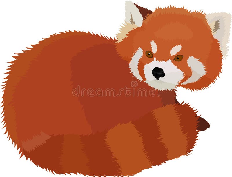 Red Panda Cartoon Stock Illustrations – 2,170 Red Panda Cartoon Stock ...