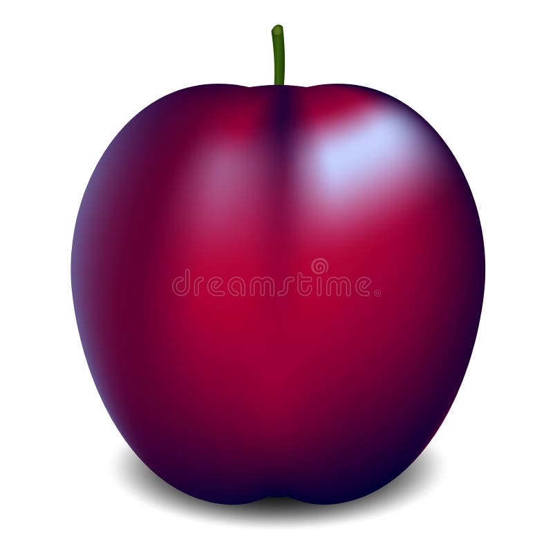 Plum Stock Illustrations – 27,126 Plum Stock Illustrations, Vectors ...