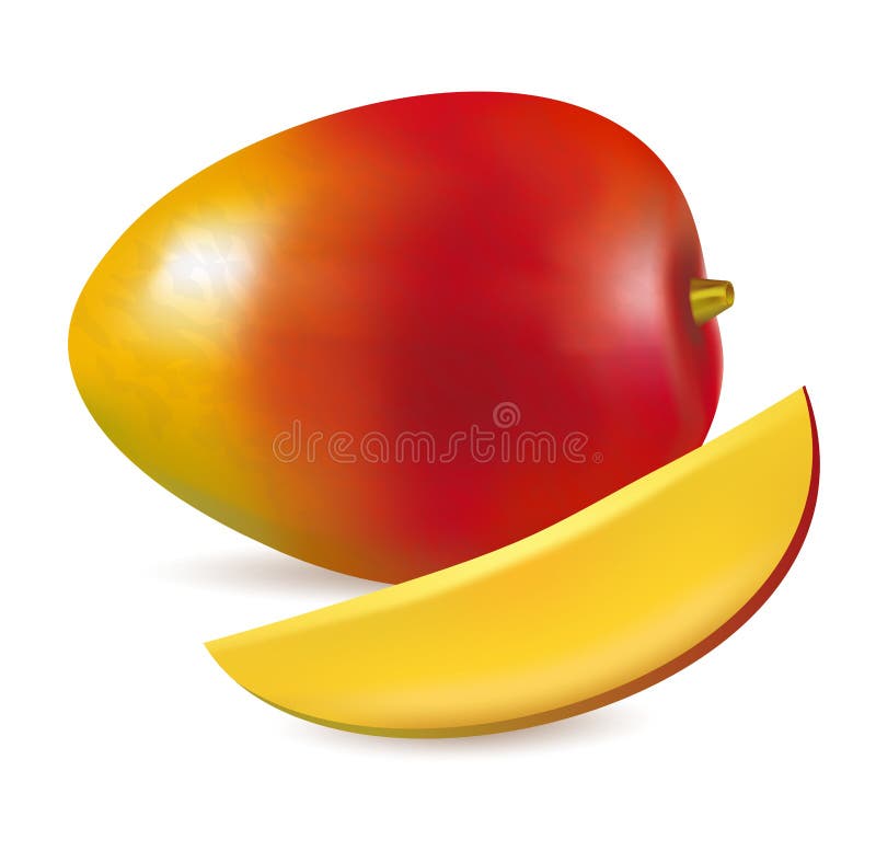 Ripe Mango With The Mango Slice. Stock Vector - Illustration of ...