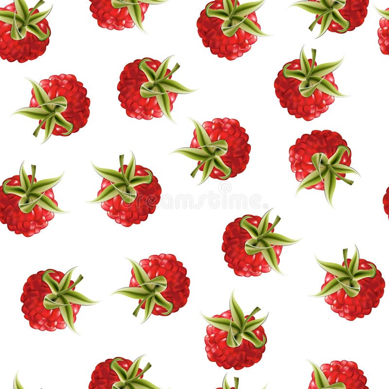 Raspberry on a Red Background Stock Illustration - Illustration of ...