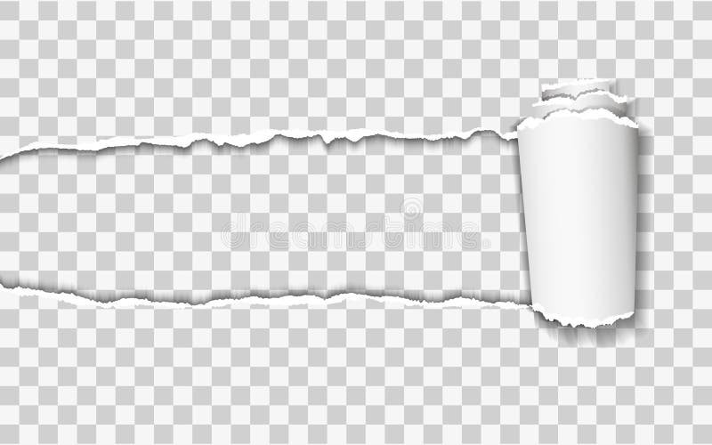 Ripped Paper with Transparent Background Stock Vector - Illustration of ...