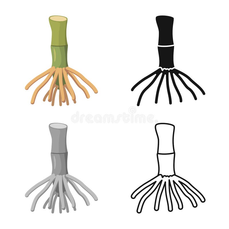 Vector Illustration of Root and Cane Symbol. Web Element of Root and ...