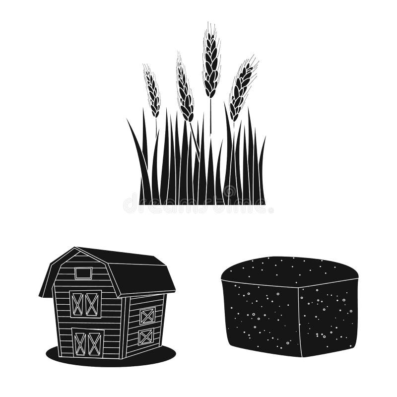 Vector Design of Rye and Plant Icon. Set of Rye and Corn Vector Icon ...